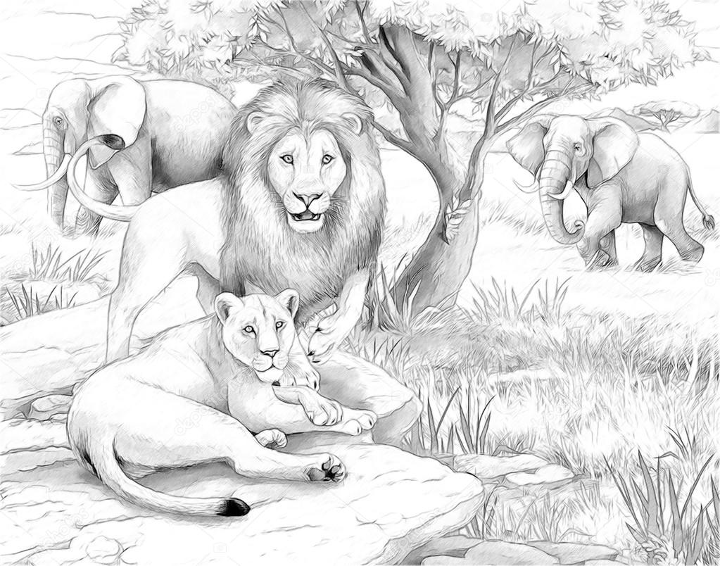 Safari - lions and elephants - coloring page- illustration for the ...