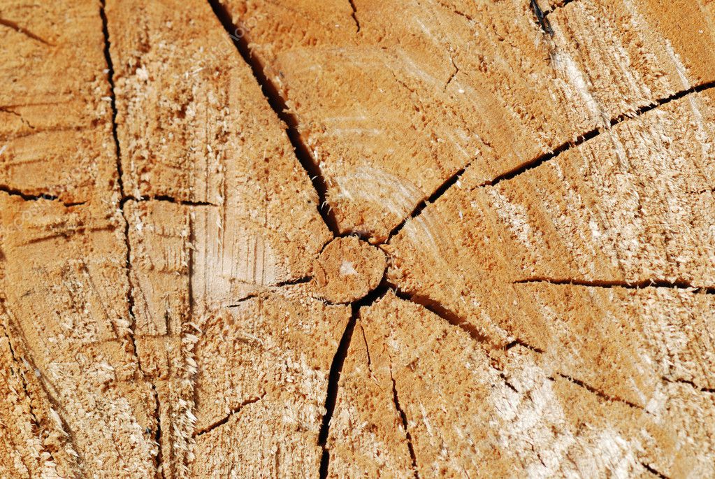 Background from a stub structure Stock Photo by ©soleg 12119065