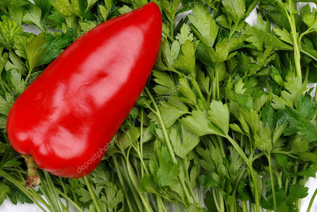 Background from parsley and red pepper with drops Stock Photo by ©soleg ...