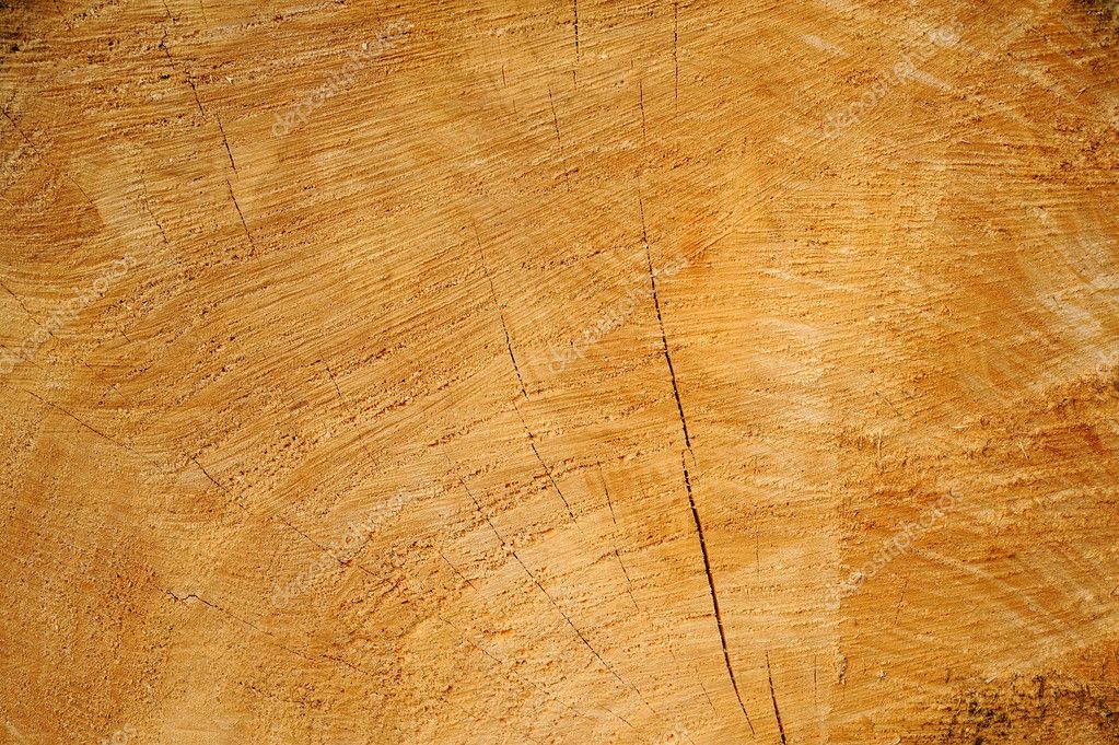 Sawn wood texture. — Stock Photo © soleg #21669309