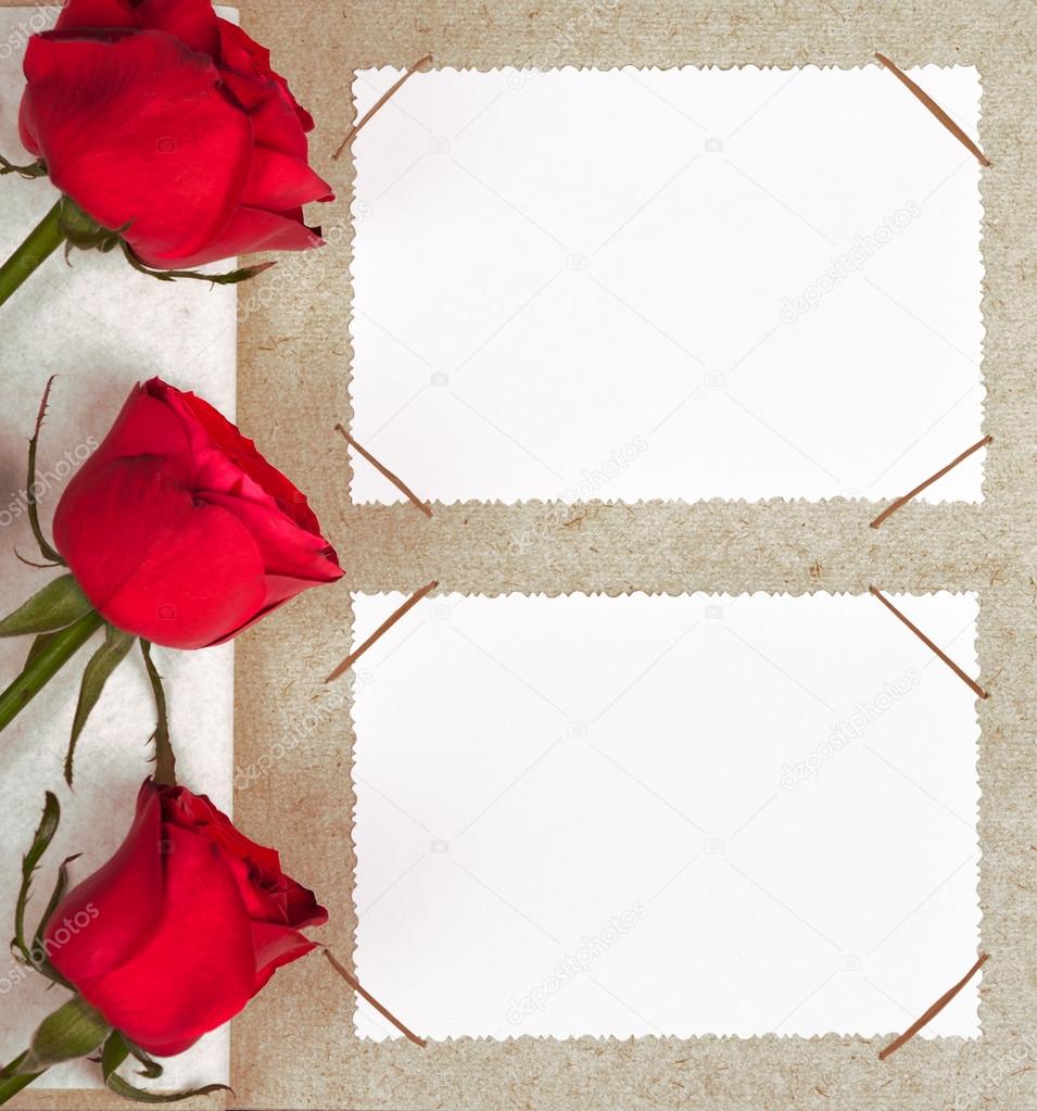 Photo album with frames and roses — Stock Photo © soleg #24173073