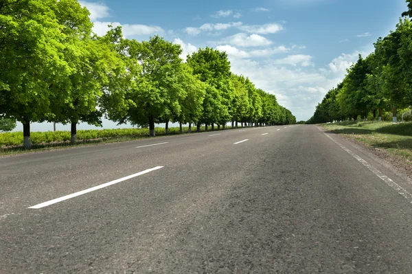 Clean road Stock Photos, Royalty Free Clean road Images | Depositphotos