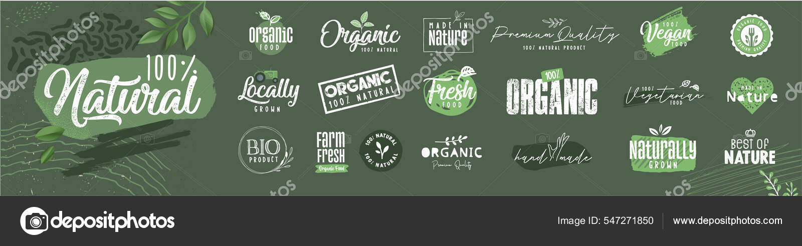 Organic Food Farm Fresh Natural Product Signs Collection Food Market ...