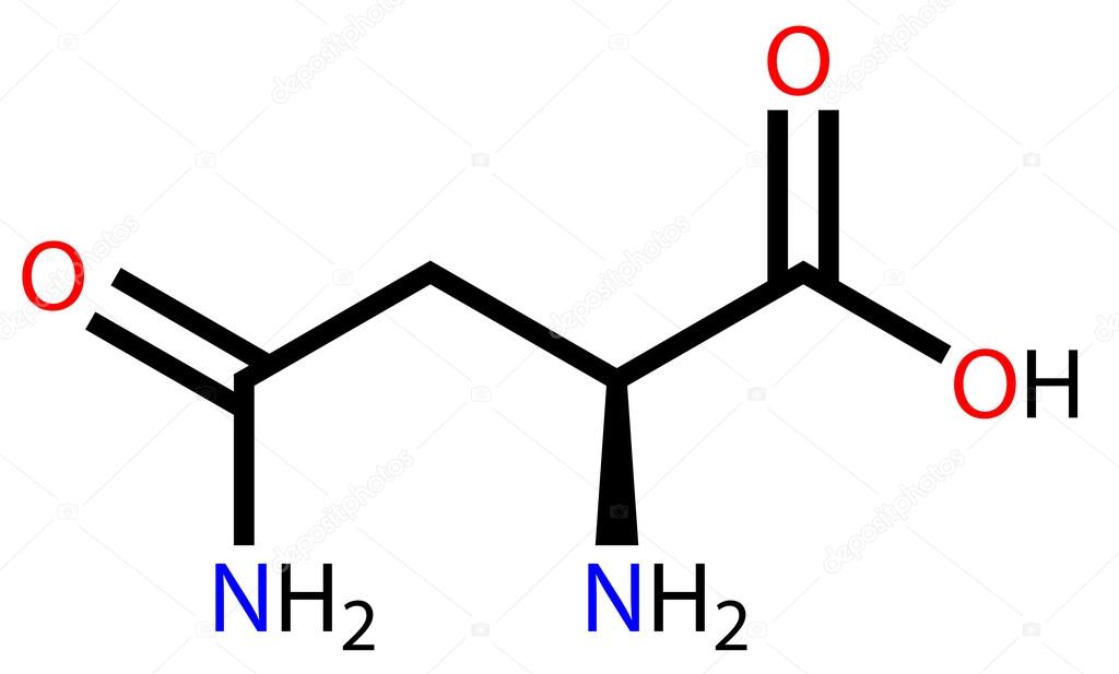 Fórmula estructural de la asparagina del aminoácido Stock Vector by ...