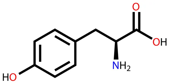 Simple Protein Structural Formula