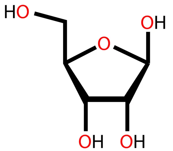 Strukturalnych wzór chemiczny i model ryboza — Grafika wektorowa ...