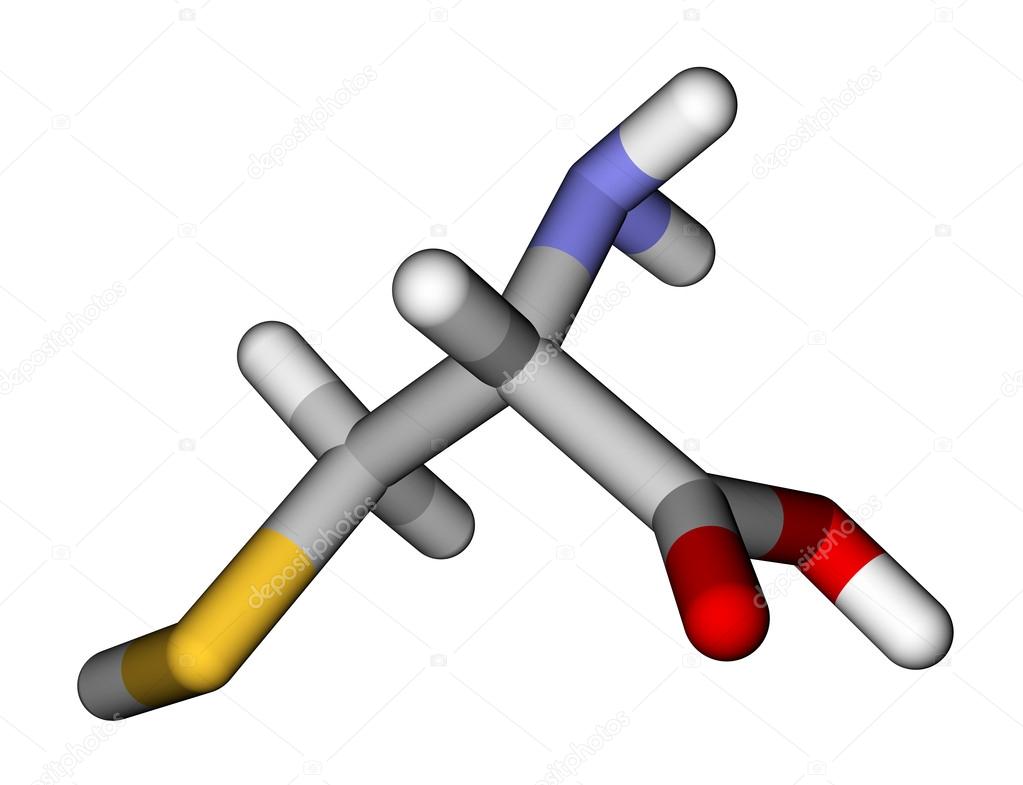 Amino acid cysteine 3D molecular model — Stock Photo © Leonid_Andronov ...