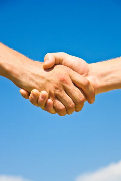 Shaking hands — Stock Photo © IrynaTiumentsev #12017697