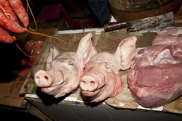 Ака stok fotoğraflar | Ака telifsiz resimler, görseller | Depositphotos