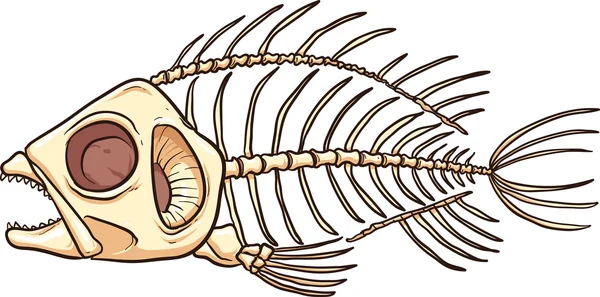 Fish Fossil Drawing