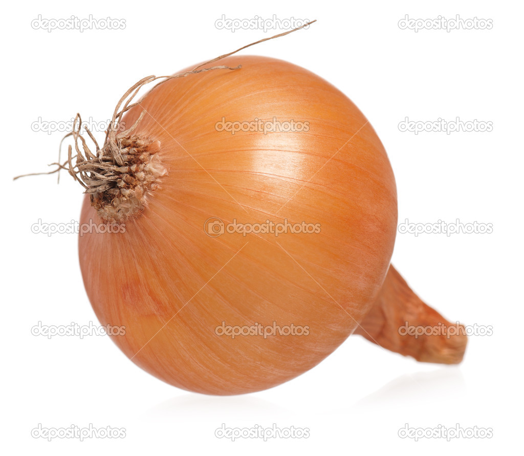 One onion Stock Photo by ©2002Lubava1981 25071545