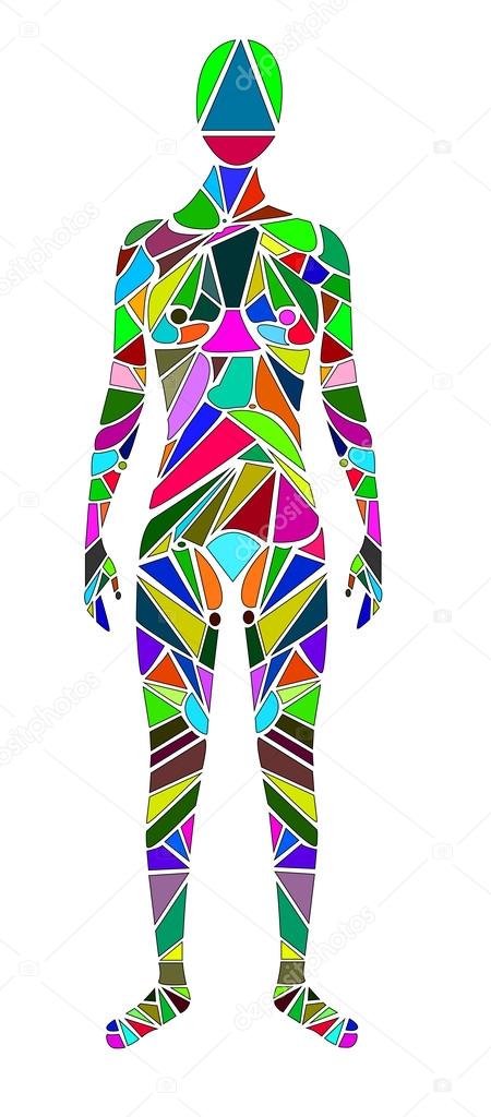 Los colores humanos — Vector de stock © passiflora #24452383