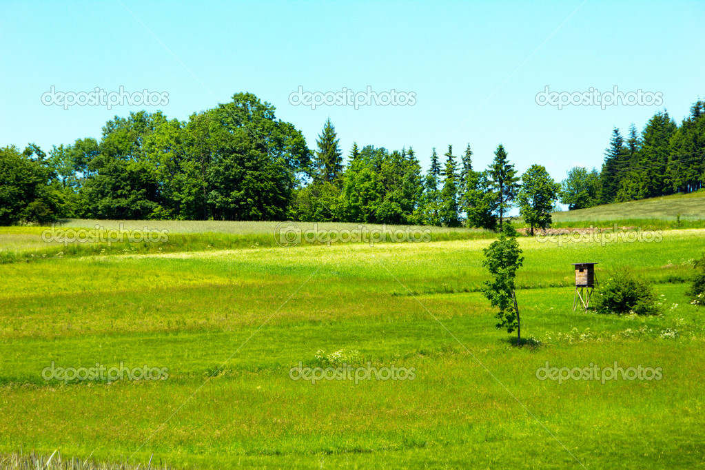 Hermosos prados verdes en el paisaje: fotografía de stock © gwolters ...