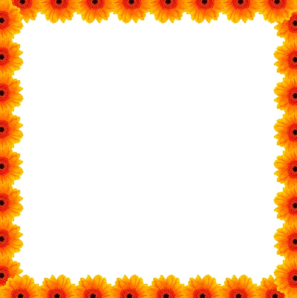 Orange Border Clipart