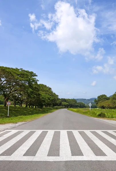 Road car crosswalk Stock Photos, Royalty Free Road car crosswalk Images ...