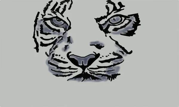 Tigris rajz Stock vektorok, Tigris rajz Jogdíjmentes illusztrációk ...