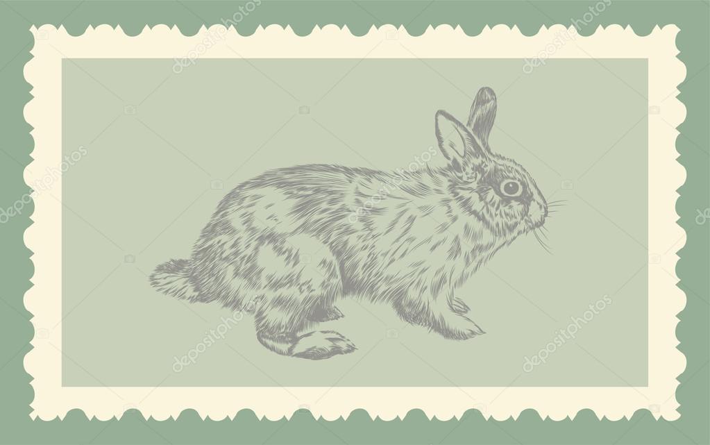 Vintage hand drawing rabbit vector eps 8 Stock Vector Image by ...
