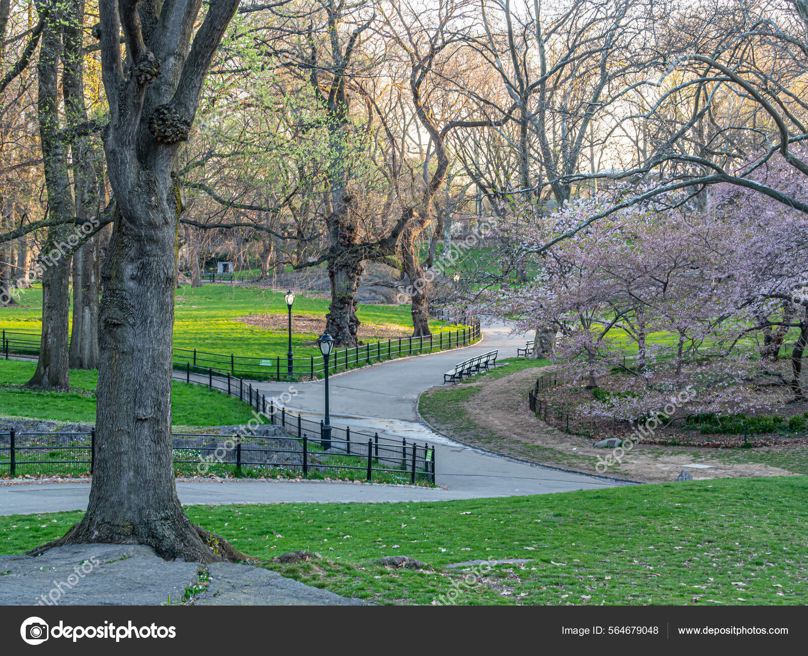 Spring Central Park New York City — Stock Editorial Photo ...