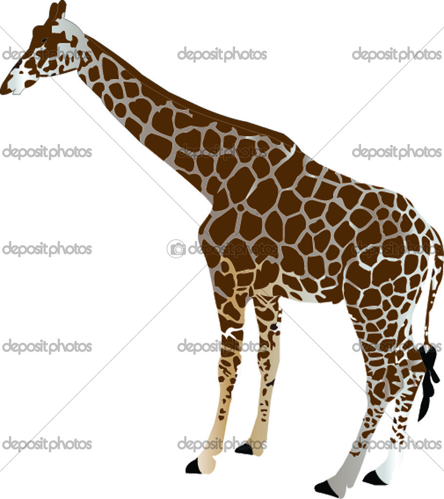 Giraffe - vector Stock Vector Image by ©excess118 #40804093