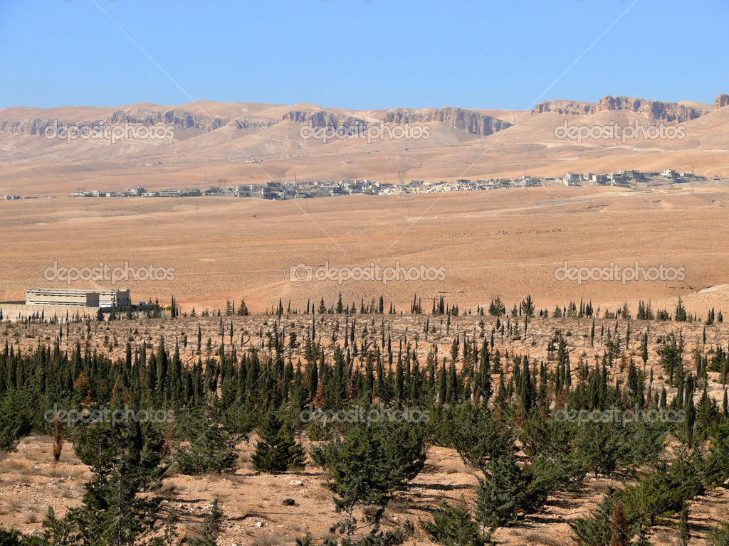Syrien. Wüste. – Stockfoto © Svetlana485 #29566533