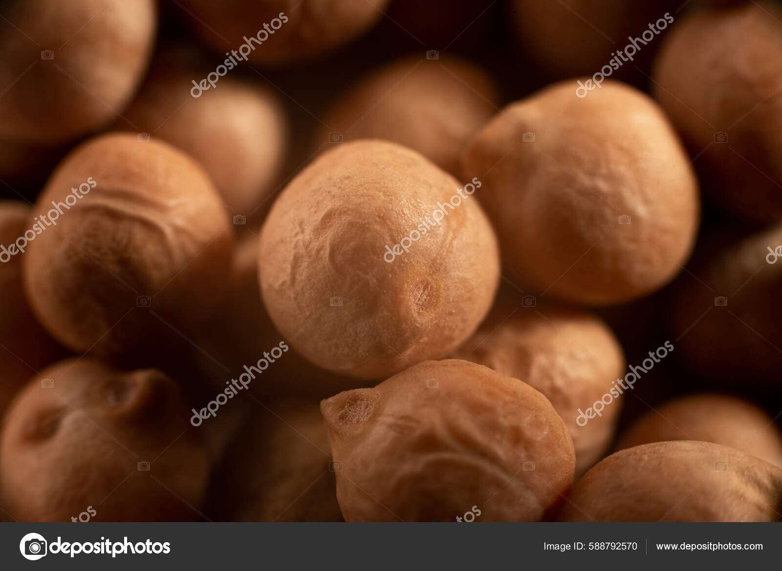 Pile Dried Chickpeas Close Chickpeas Nuts Ancient Grain Food — Stock ...