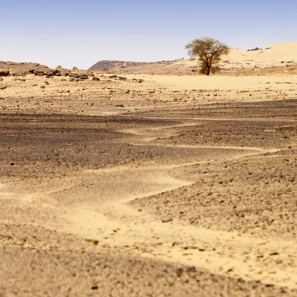 Oasis of the sahara desert Stock Photos, Royalty Free Oasis of the ...