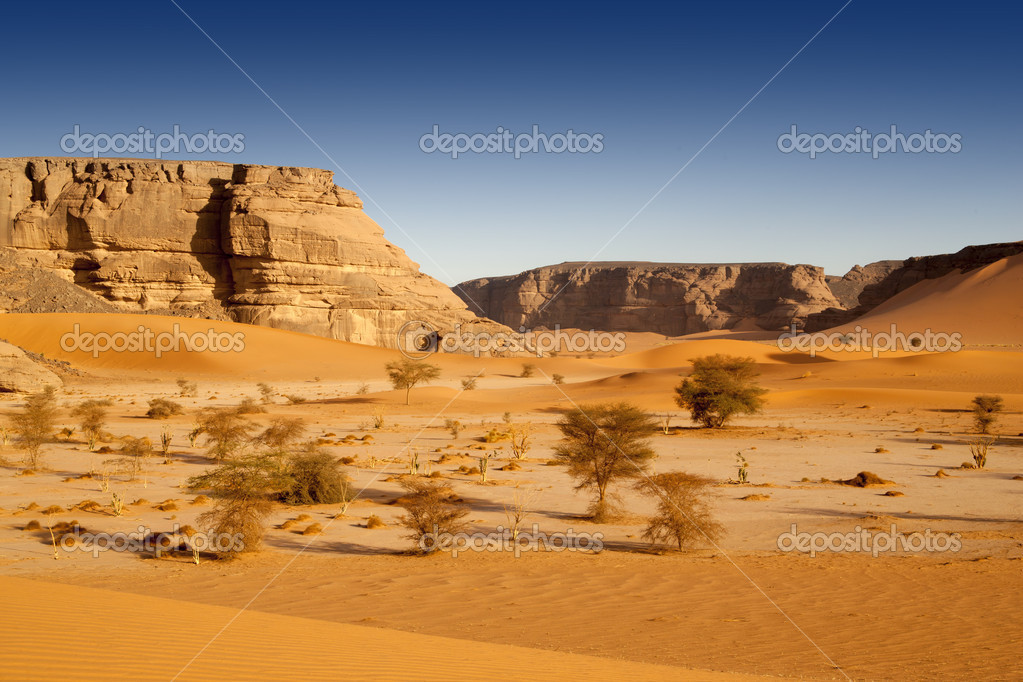 Removed rocks in the Sahara Desert, Libya Stock Photo by ©Denis Burdin ...