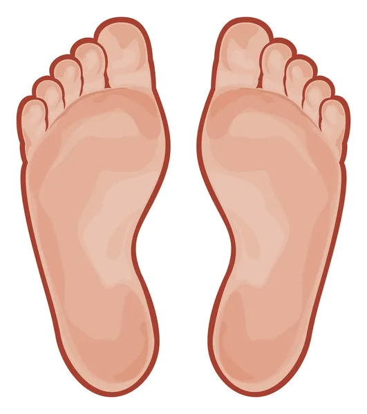 Footprint Stock Vectors, Royalty Free Footprint Illustrations ...