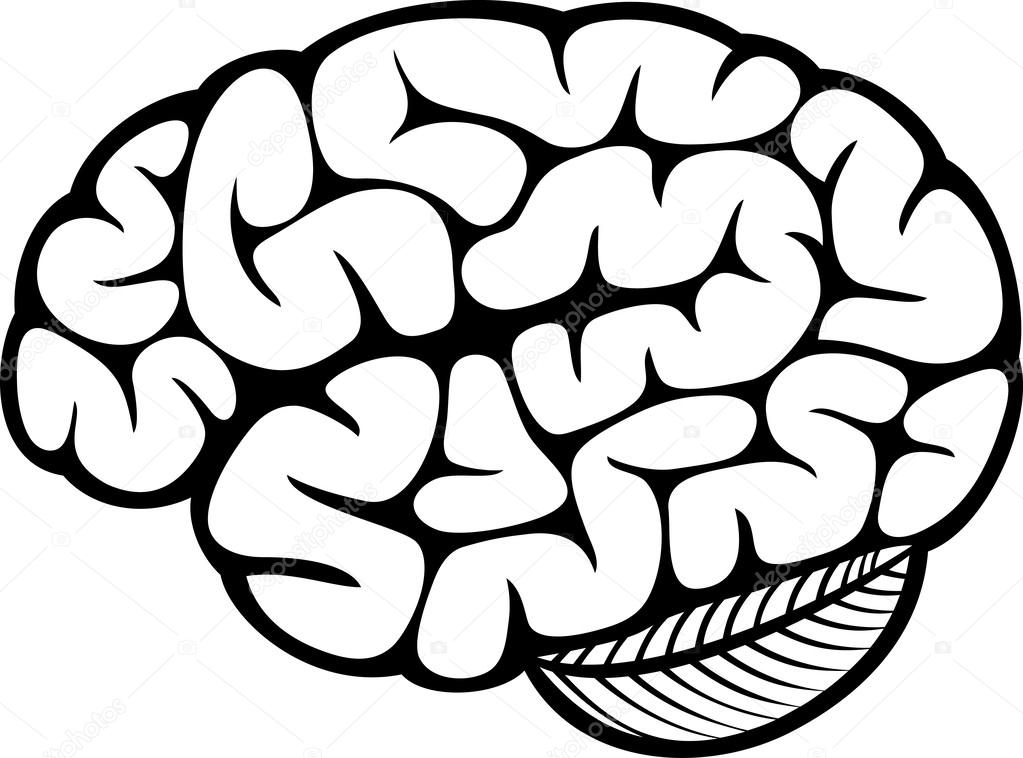 Simple Cartoon Brain