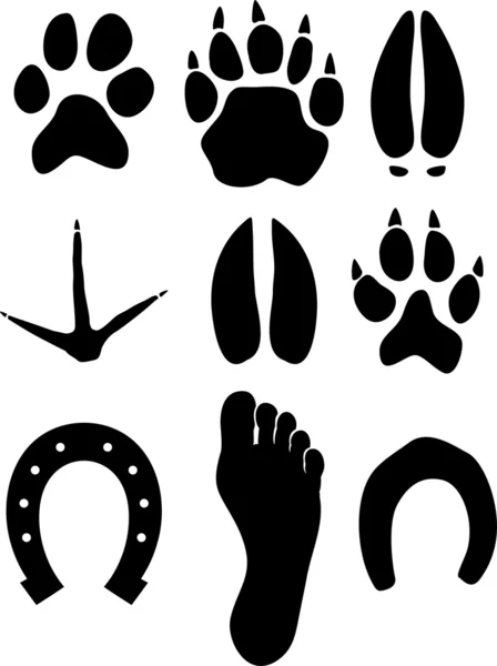 Deer And Elk Tracks Clipart