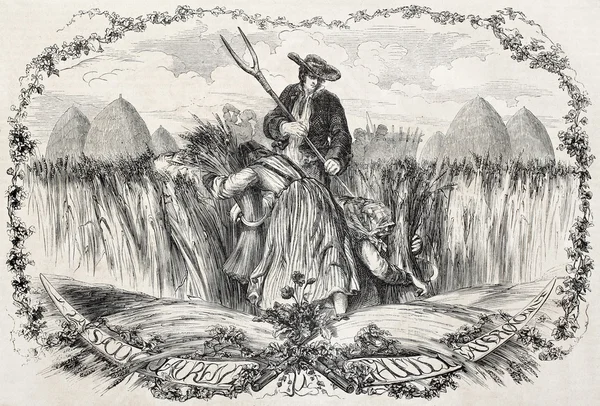 Reaping Stock Photos, Royalty Free Reaping Images | Depositphotos®