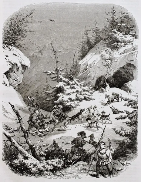 Bear hunting Stock Photos, Royalty Free Bear hunting Images | Depositphotos