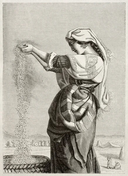 Winnower Stock Photos, Royalty Free Winnower Images | Depositphotos®