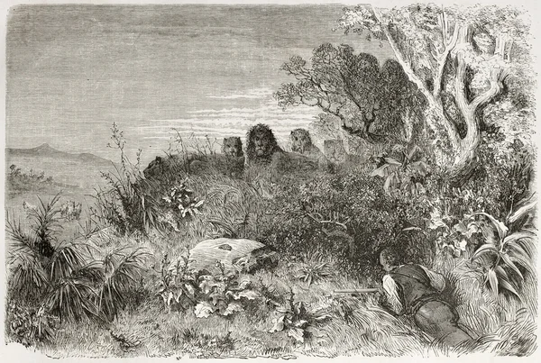 Imágenes de Creeping beast, fotos de Creeping beast sin royalties ...