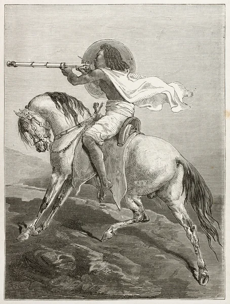 Abisinia Stock Photos, Royalty Free Abisinia Images | Depositphotos