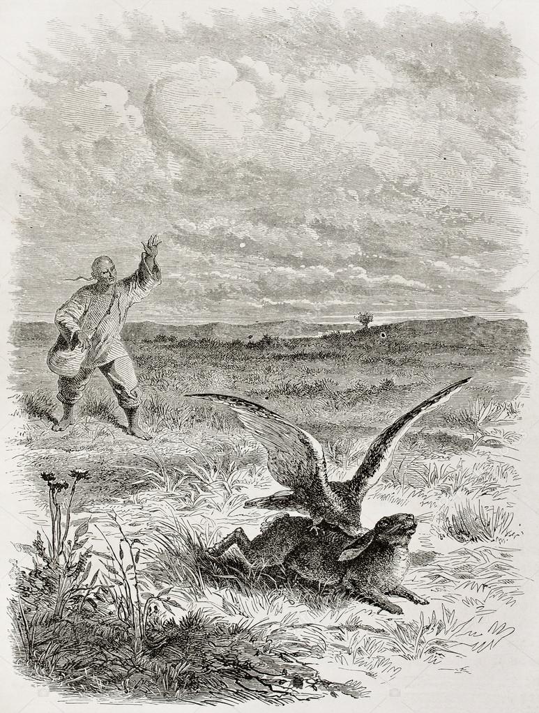 Chinese falconer Stock Illustration by ©marzolino #13330992