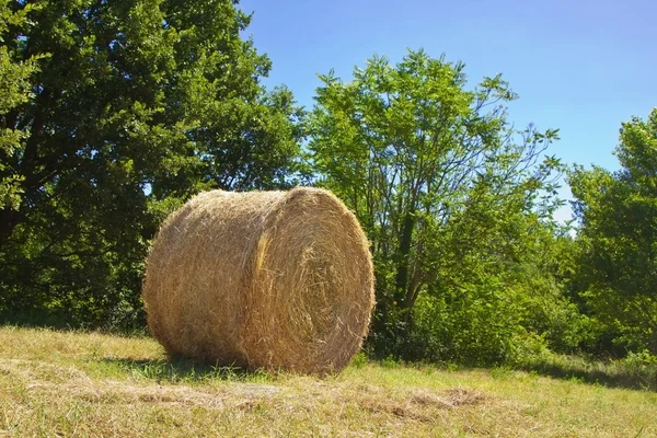 Round hay bale Stock Photos, Royalty Free Round hay bale Images ...