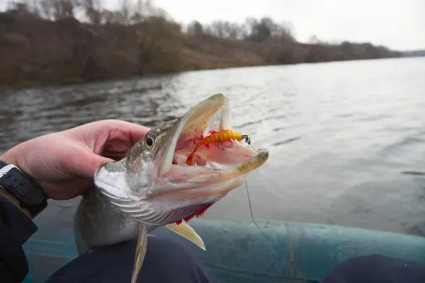 2,175 Head spinning Stock Photos | Free & Royalty-free Head spinning ...