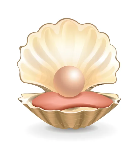 Perl Stock Vectors, Royalty Free Perl Illustrations | Depositphotos®