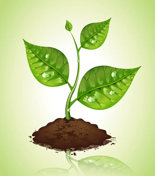 100,000 Small plant Vector Images | Depositphotos