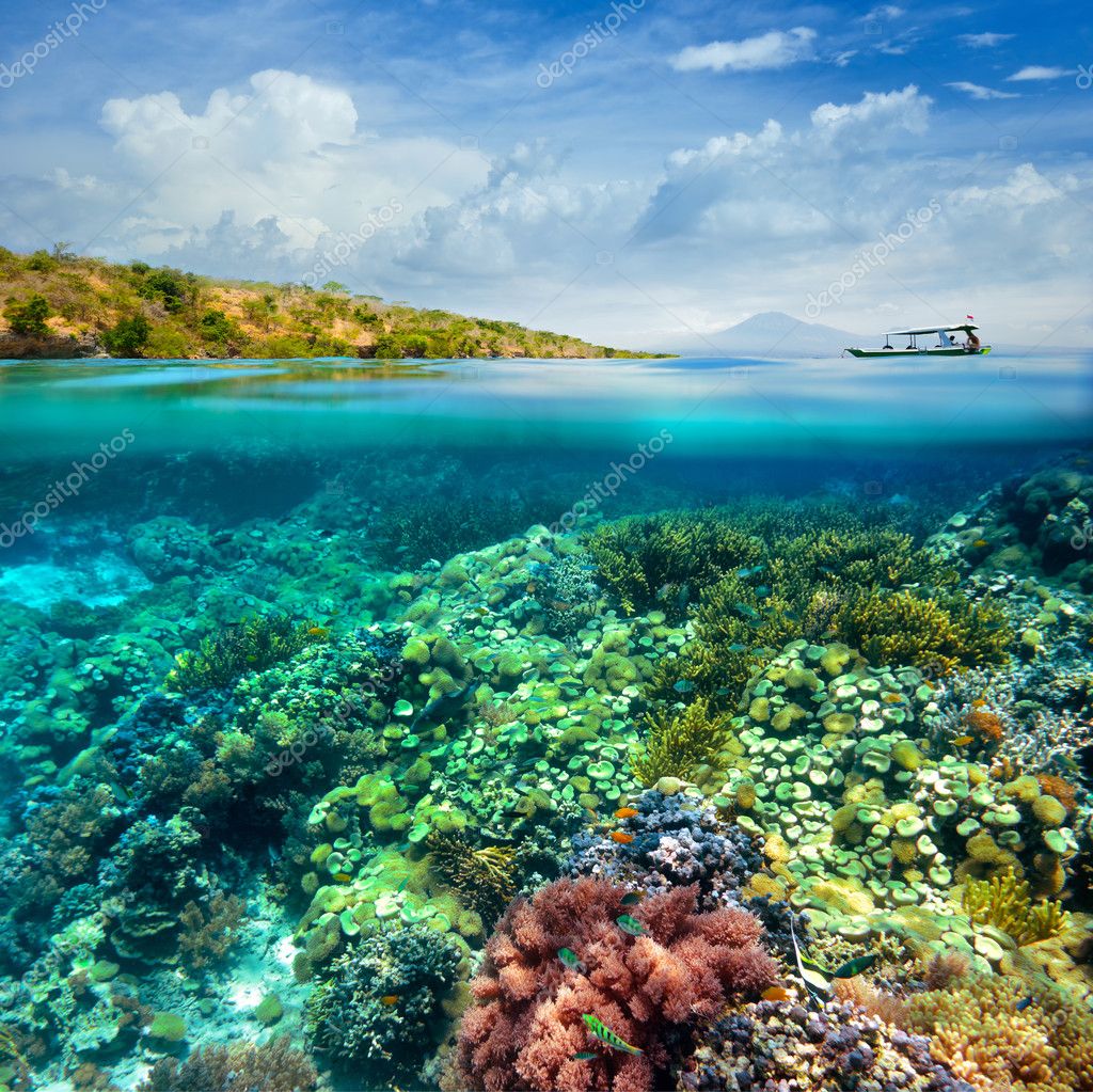 Beautiful Coral reef on background of cloudy sky and volcano. — Stock ...
