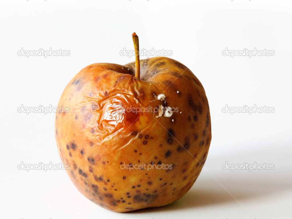 Apple spoiled on white background Stock Photo by ©Voyagerix 16805055