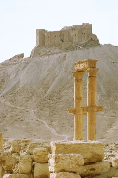 Aemet Stock Photos, Royalty Free Aemet Images | Depositphotos