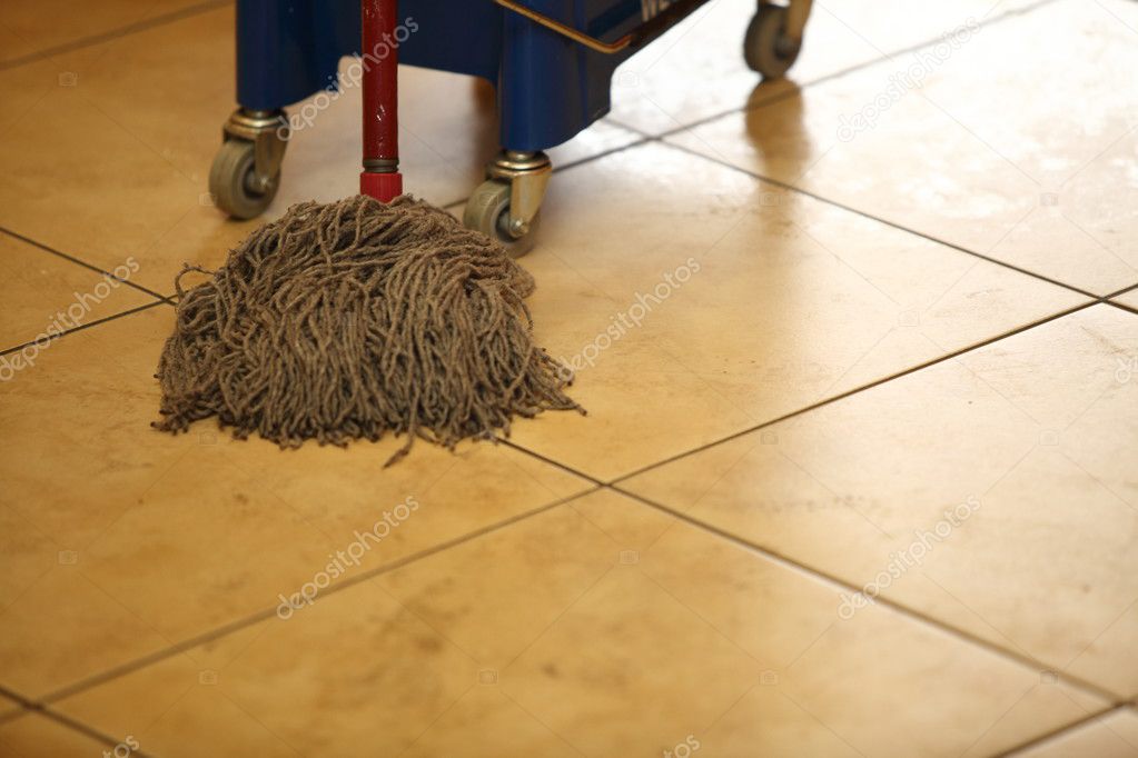 Dirty Brown Mop