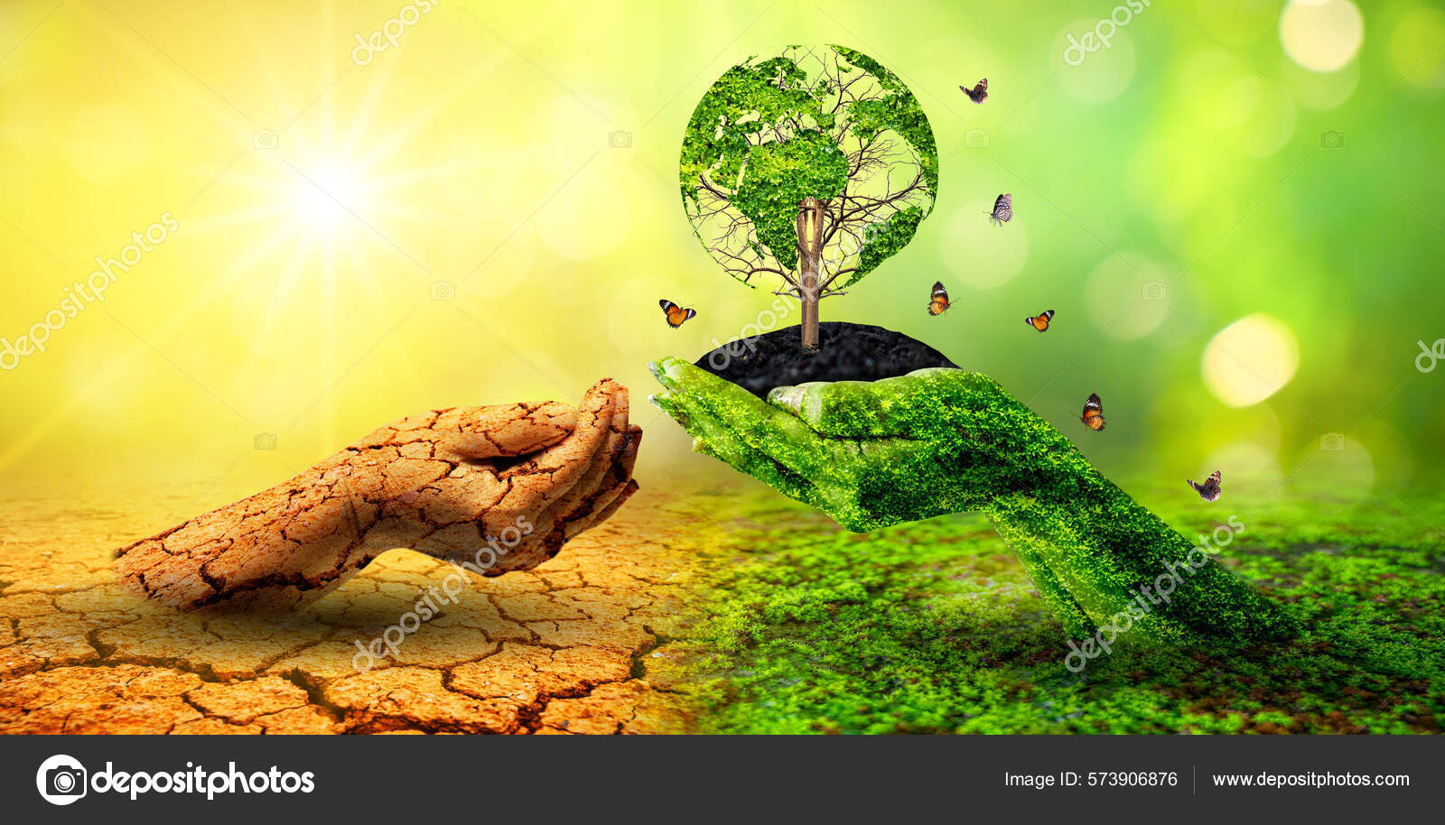 Tree Two Hands Very Different Environments Earth Day World Environment ...