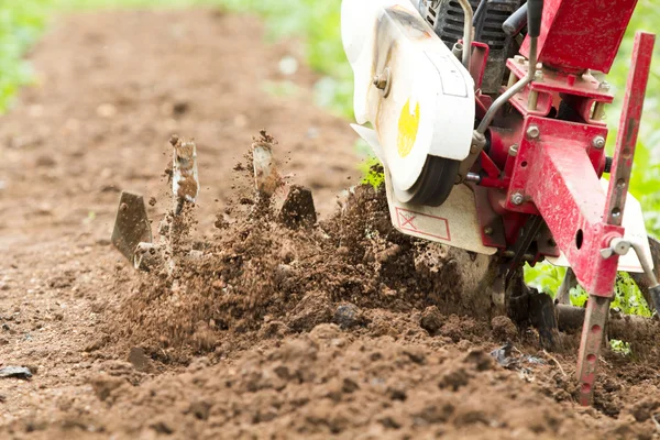 Small rotary cultivator working in garden - Stock Image - Everypixel