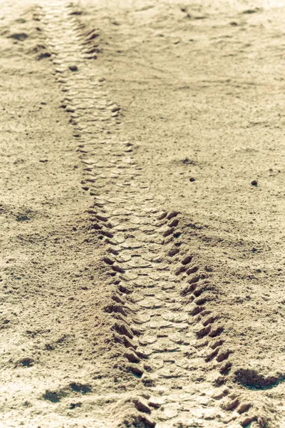 Huellas de neum ticos en tierra 2024