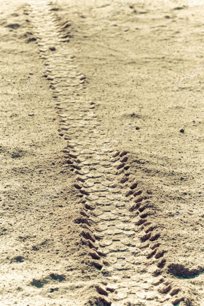 Huellas de neum ticos en tierra 2024