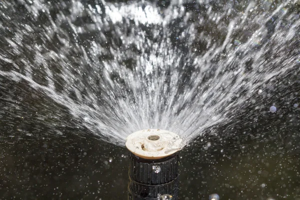 Sprinkler head watering in garden. - Stock Image - Everypixel