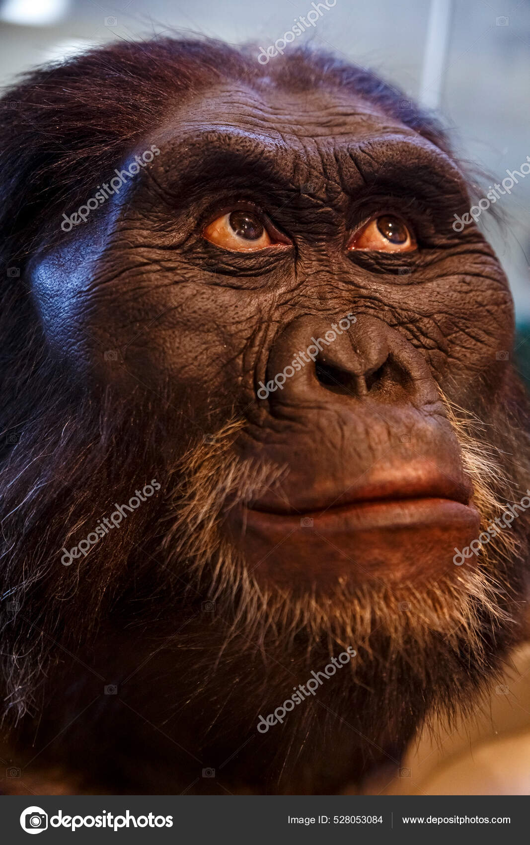 Possible Face Prehistoric Caveman — Stock Editorial Photo © mbastos ...
